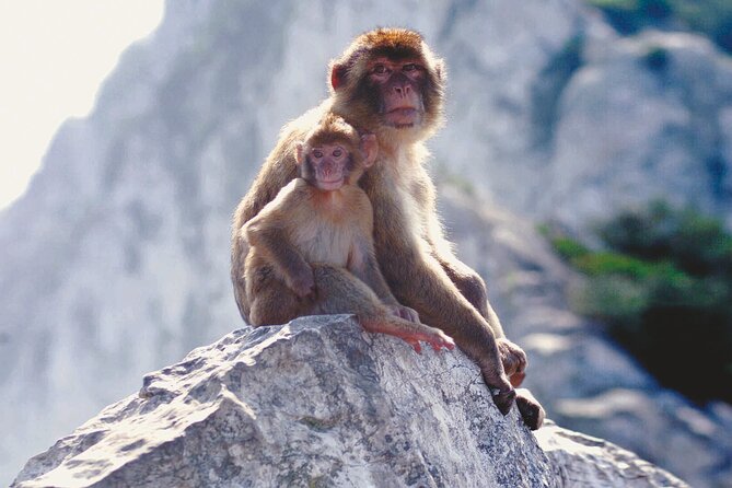 Gibraltar Rock Guided Tour - Visitor Information