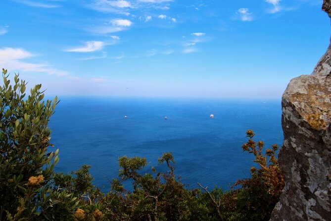 Gibraltar Shore Excursion: The Original Rock, Shop & Caves Tour - Transportation and Group Size