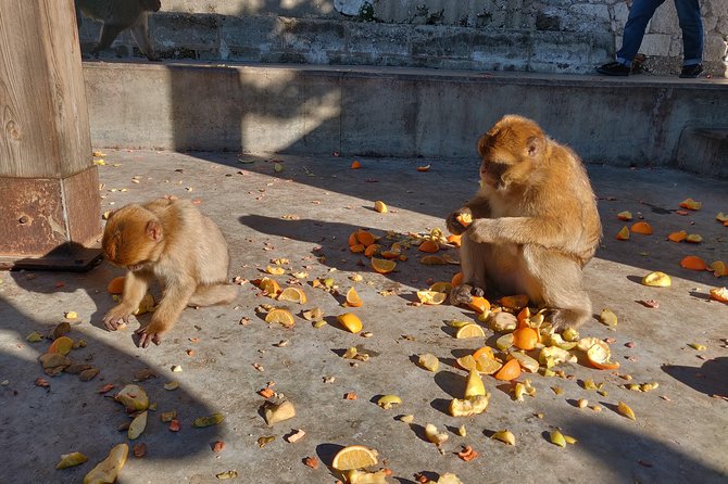 Gibraltar Sightseeing: Classic Rock Tour (Private) - Navigating the Great Siege Tunnels
