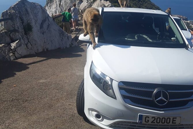 Gibraltar Sightseeing : Classic Shore Excursion (Private) - FAQ