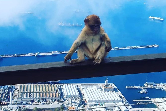 Gibraltar Sightseeing : Extended Rock Tour / Shore Excursion (Private) - Exploring Gibraltars Top Landmarks