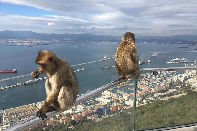 Gibraltar Sightseeing: Premium Rock Tour / Shore Excursion (Private) - Frequently Asked Questions