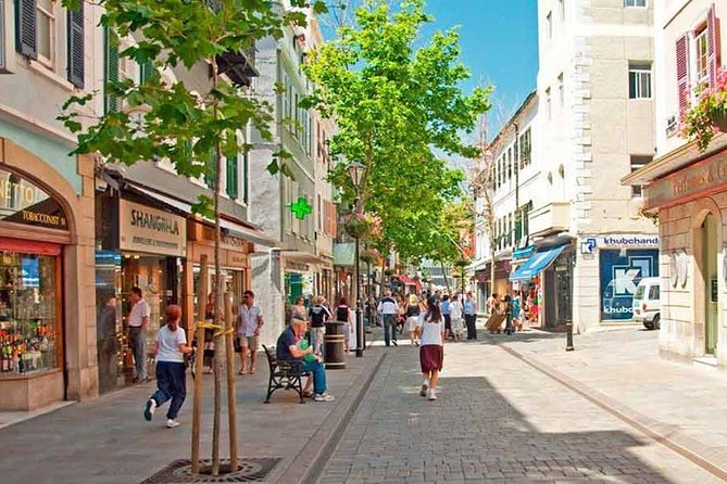 Gibraltar With Rock of Gibraltar & St. Michael Cave From Seville - Traveler Requirements and Recommendations