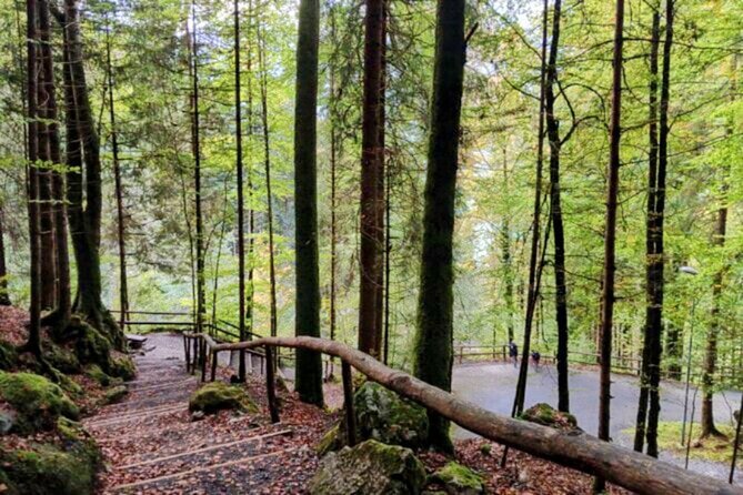 Giessbach Waterfall + CLOY Pier Iseltwald Sightseeing Tour Privat - Why It’s a Great Value