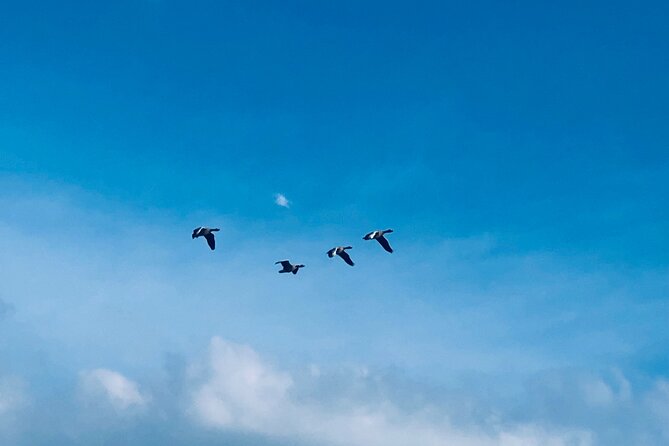 Giethoorn, Fish village , Zaanse Schans Tour incl Hotel pick up - Frequently Asked Questions