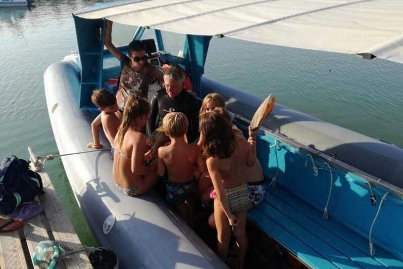 Giglio Island (Tuscania): Tour and snorkelling on a dinghy - Authentic Experiences and What Travelers Are Saying