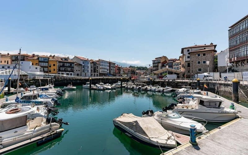 Gijón: Ribadesella, Llanes & San Vicente de la Barquera - Who is This Tour Best For?