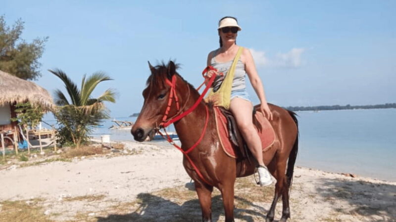 Gili Air: 1-Hour Horse Riding Adventure - Key Points