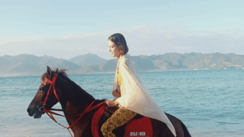 Gili Air: 1-Hour Horse Riding Adventure - The Sum Up