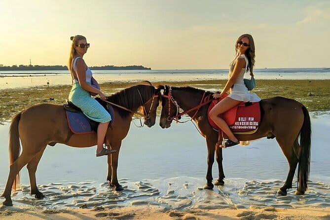 Gili Air 1 Hour Horseback Beach Adventure - An In-Depth Look at the Gili Air Horseback Adventure