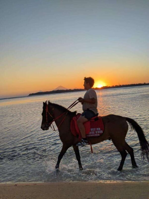 Gili Air: 1 Hour Horseback Riding With hotel Transfer - Key Points