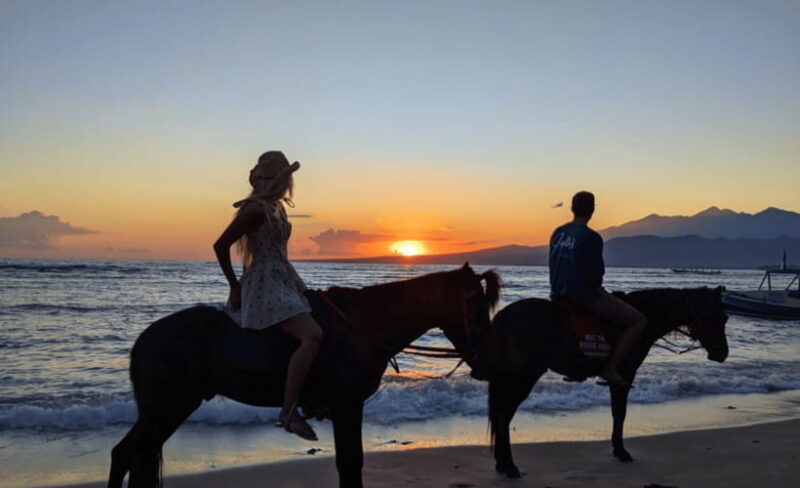 Gili Air: 1 Hour Horseback Riding With hotel Transfer - Who Should Consider This Tour?