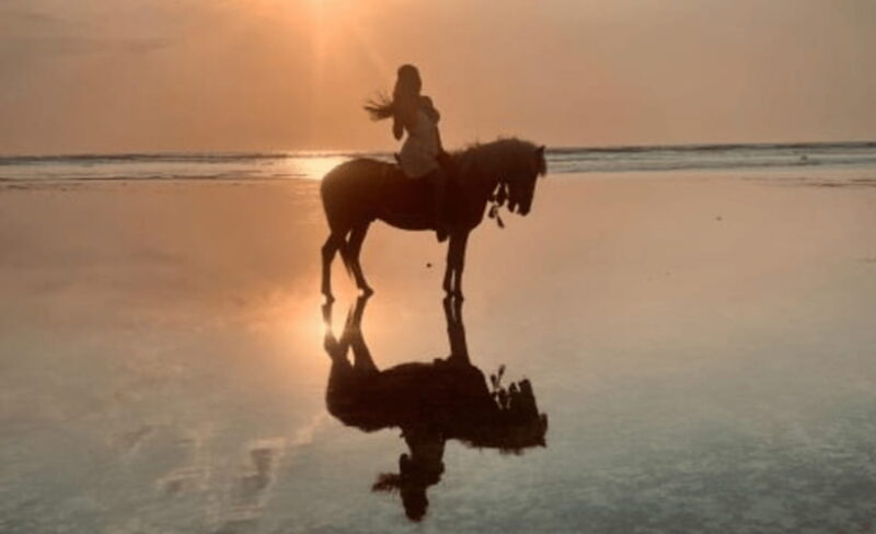 Gili Air: 1 Hour Horseback Riding With hotel Transfer - The Sum Up: Why This Horseback Ride Is Worth Your Time
