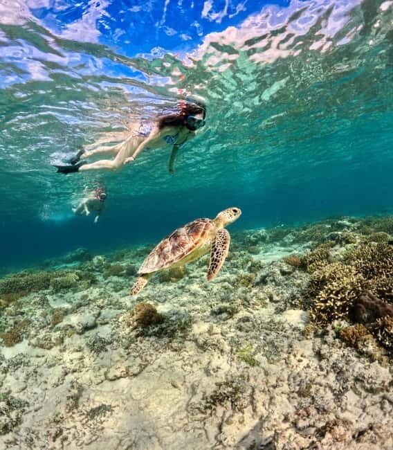 Gili Air: Private or Small-Group Snorkeling Boat Tour - What’s Included and What to Expect