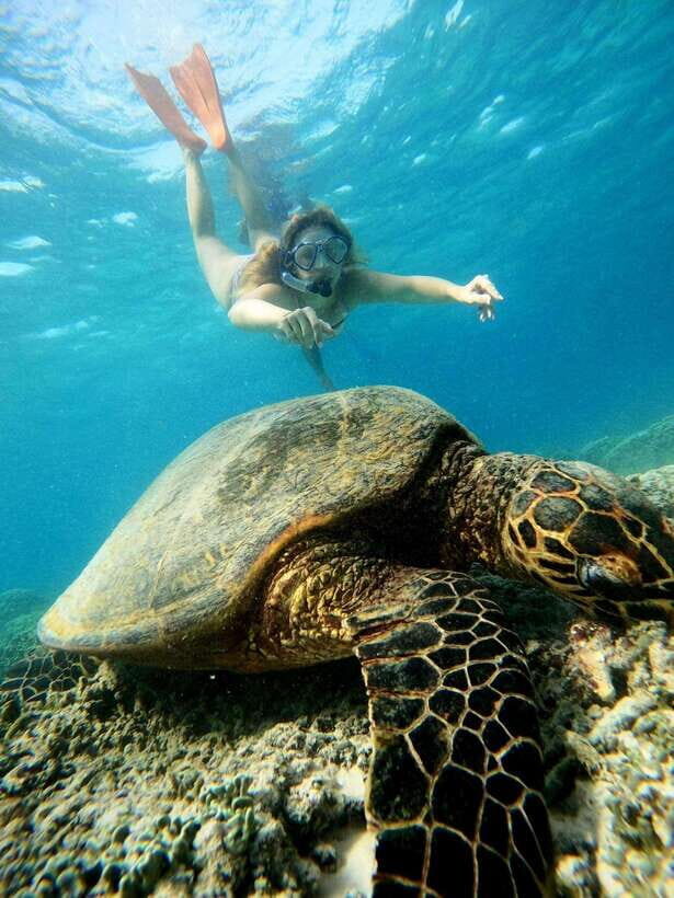Gili Air Share Snorkeling Tour With GOPRO Documentation - A Close Look at the Snorkeling Tour