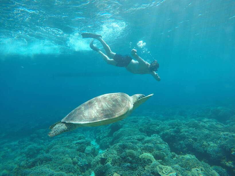 Gili Air Share Snorkeling Tour With GOPRO Documentation - Final Assessment: Who Should Book This Tour?