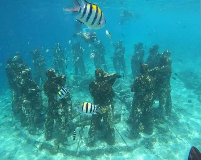 Gili Air : Sharing Snorkeling Tour + Gopro Shooting - What To Expect During Your Snorkeling Experience