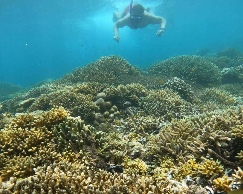 Gili Air : Sharing Snorkeling Tour + Gopro Shooting - Who Should Consider This Tour?
