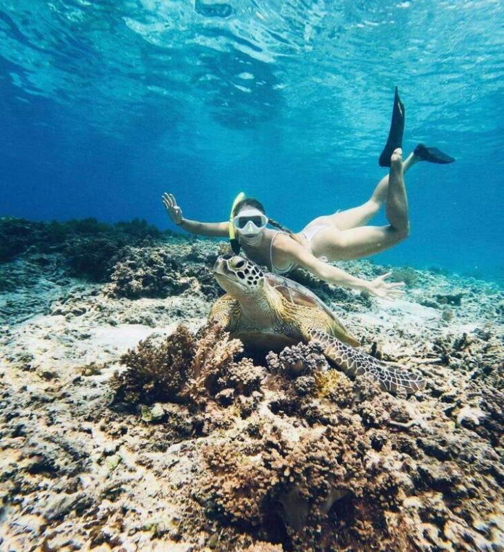 Gili Air: Snorkeling 3 Gili Islands with GoPro Camera - Key Points