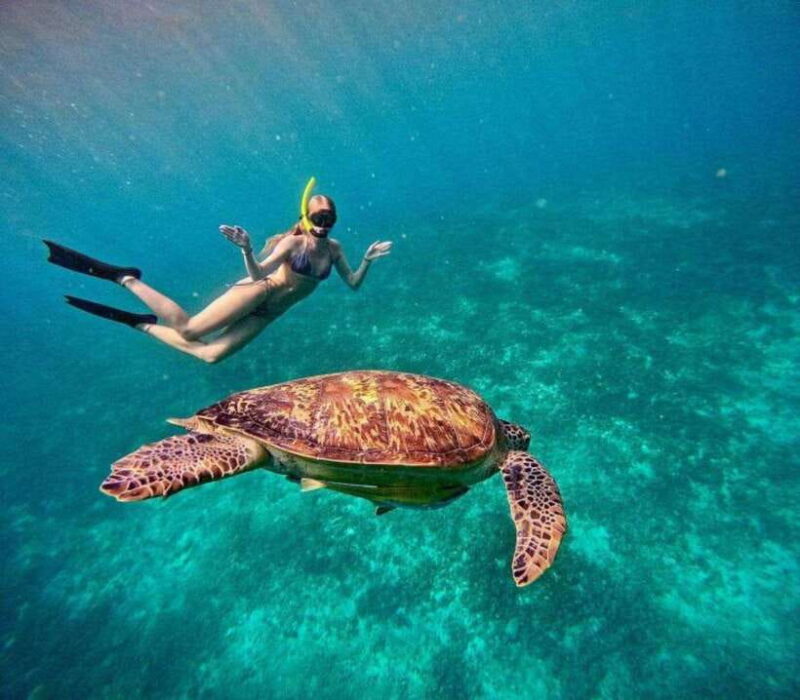 Gili Air: Snorkeling 3 Gili Islands with GoPro Camera - A Closer Look at the Itinerary