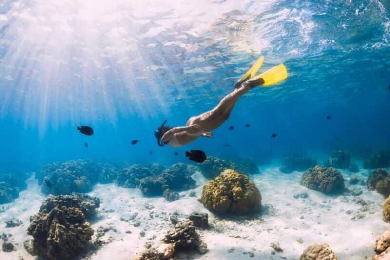 Gili Air: Snorkeling 3 Gili Islands with GoPro Camera - The Experience from a Traveler’s Perspective