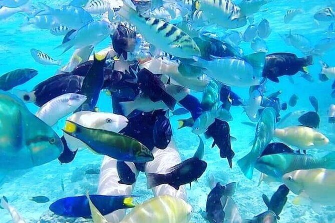 Gili Asahan Snorkeling Tour - An In-Depth Look at the Gili Asahan Snorkeling Tour