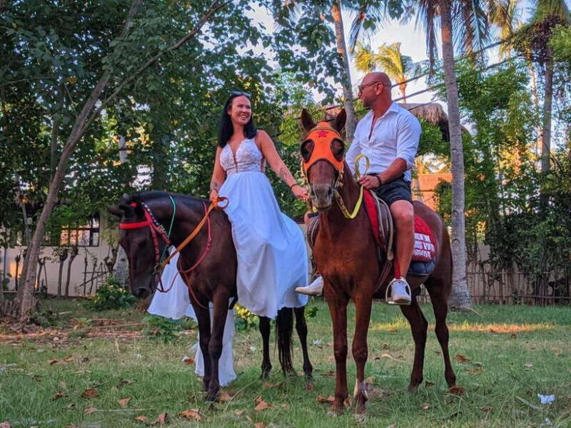 Gili Island : 1 Hour Beach Horseback Riding - Introduction
