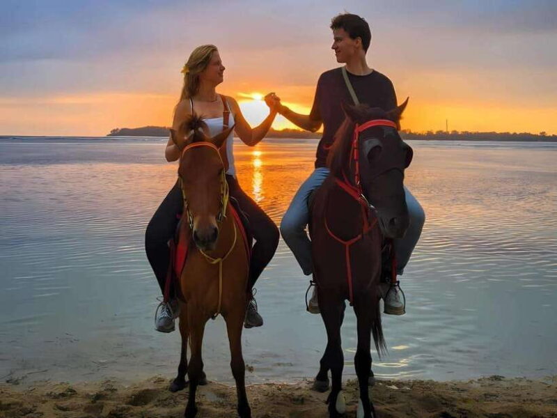 Gili Island : 1 Hour Beach Horseback Riding - Authentic Experiences and Real Feedback