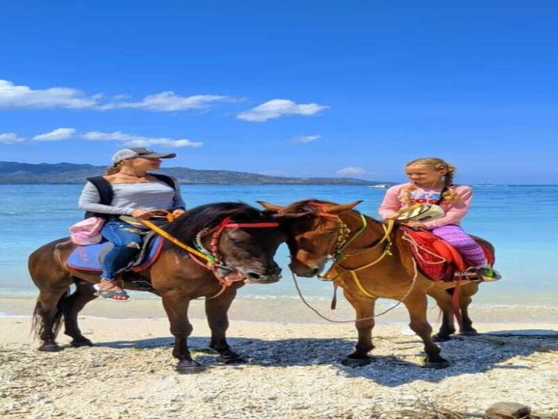 Gili Island : 1 Hour Beach Horseback Riding - The Value of a Horseback Ride on Gili