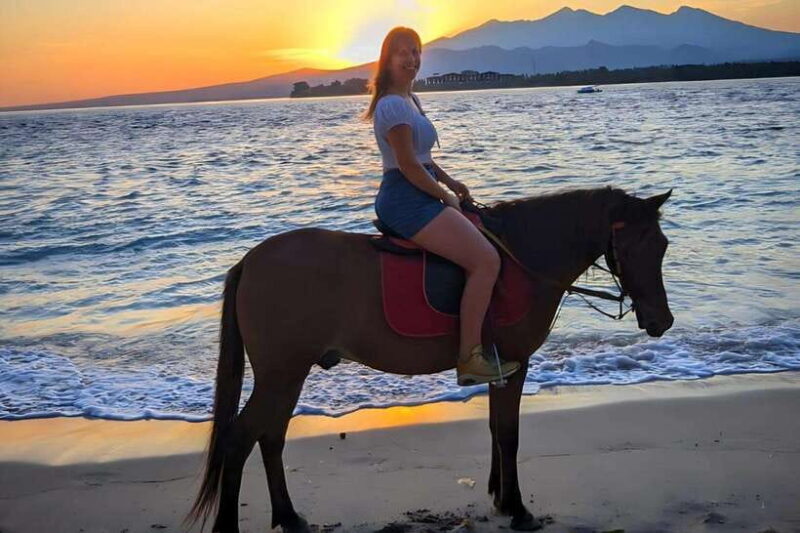 Gili Island : 1 Hour Beach Horseback Riding - The Sum Up
