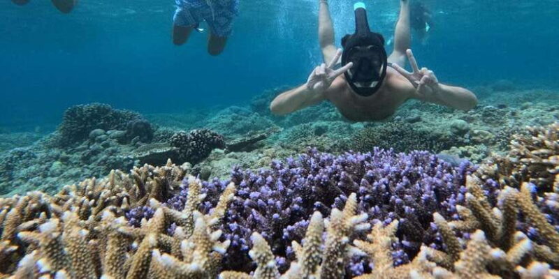 Gili Island Snorkeling: Gili Trawangan, Meno And Air - FAQ