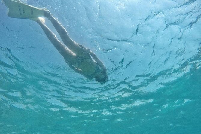 Gili island Snorkeling Half Day Trip departure from Gili Trawangan - The Realities of the Tour: Pros and Cons