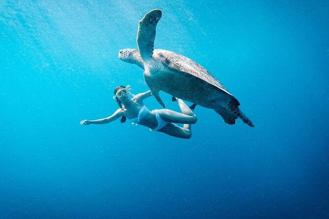 Gili Island Snorkeling Trip - Gili Trawangan, Gili Meno, & Gili Air, From Lombok - Why We Think This Tour Is Worth Considering