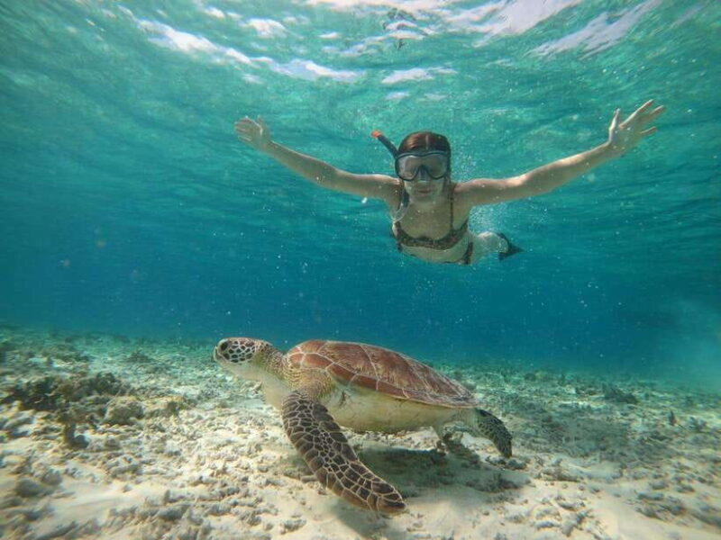 gili island: sunset and snorkeling tour + GoPro photoshoot - Key Points