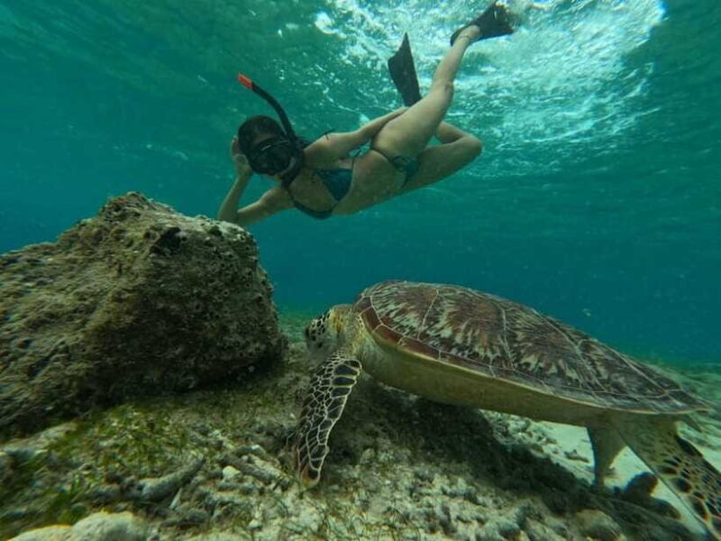 gili island: sunset and snorkeling tour + GoPro photoshoot - Who Will Love This Tour?