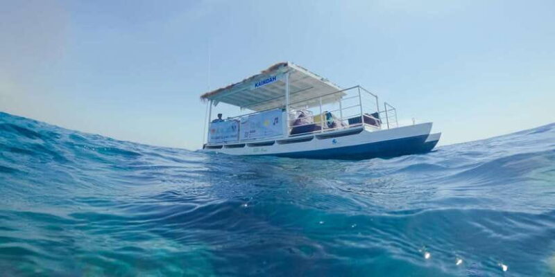 Gili Islands: 3 Island BBQ Day Cruise Snorkeling Tour - Key Points