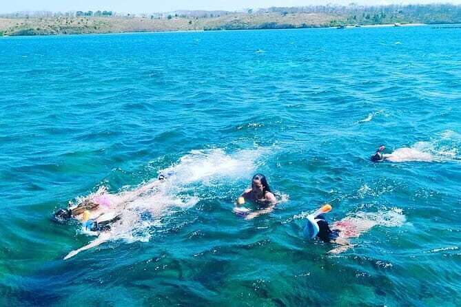 Gili Islands Day Tour and Snorkeling at Turtle Points - An In-Depth Look at the Tour Experience