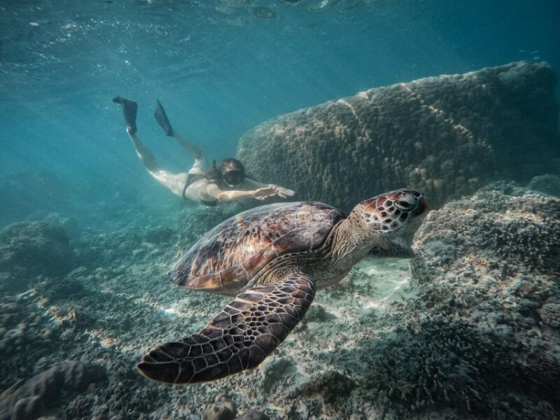 Gili Islands: Group or Private Snorkeling Tour with GoPro - Snorkeling with Sea Turtles and Underwater Statues