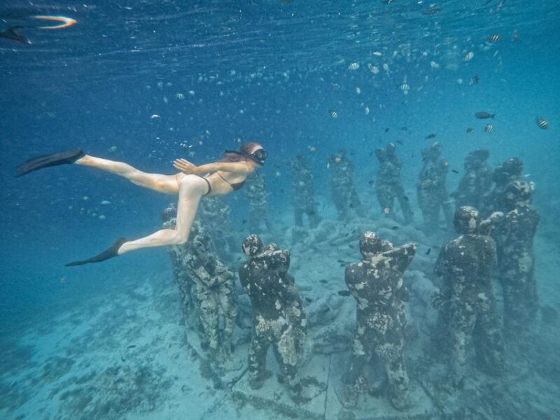 Gili Islands: Group or Private Snorkeling Tour with GoPro - The Sum Up