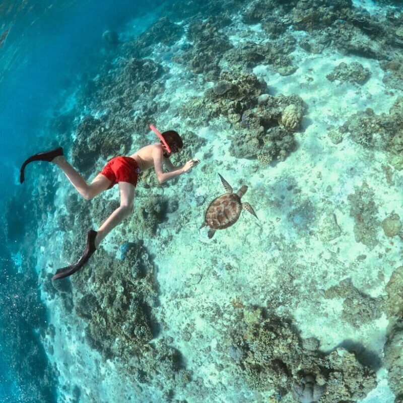 Gili Islands: Private or Shared Snorkeling Boat Trip - Who Is This Tour Best Suited For?