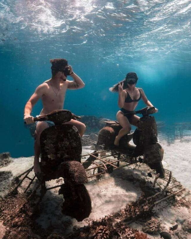 Gili Islands: Private Snorkeling Boat Tour with Local Guide - What’s Included and What’s Not