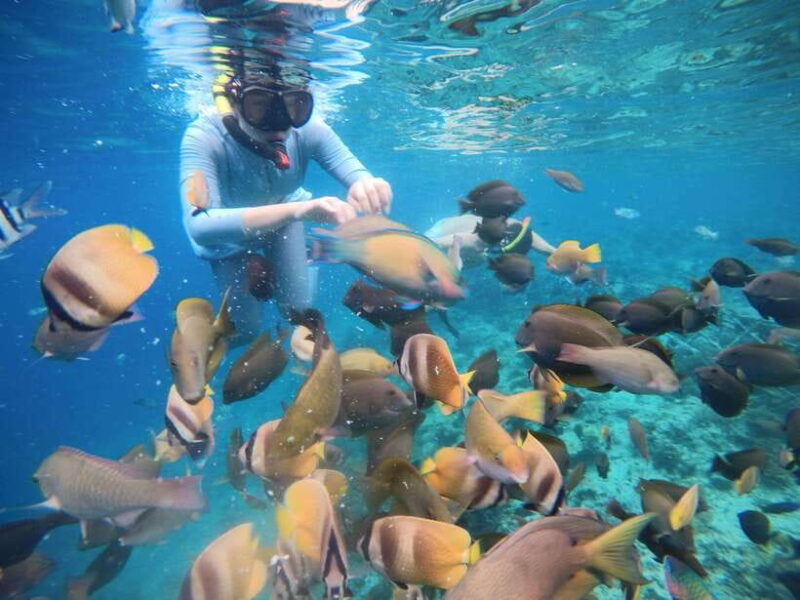 Gili Islands: Private Snorkeling Boat Tour with Local Guide - The Sum Up