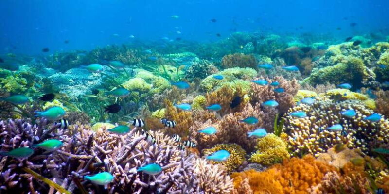 Gili Islands Snorkeling Adventure - What Makes This Tour Special