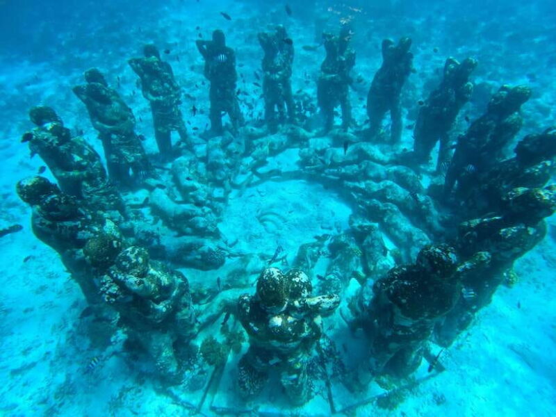 Gili Islands Snorkeling Day Trip with private speedboat - Key Points