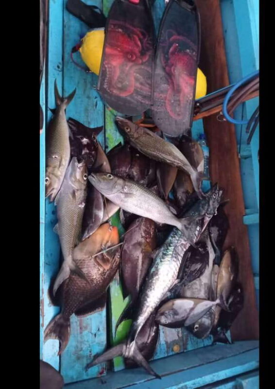 Gili Islands: Spearfishing Tour - Key Points