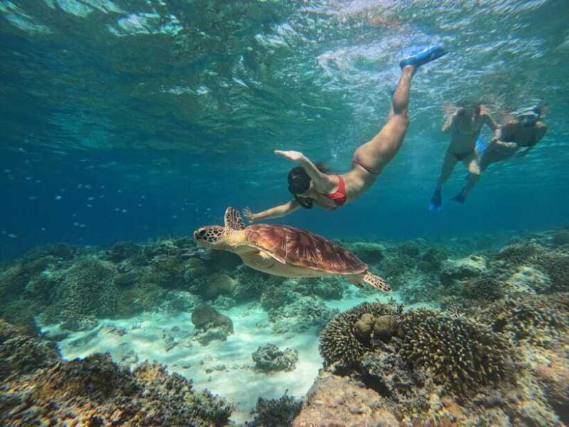 Gili Islands: SUNSET snorkeling trip and GOPRO shoot - The Sum Up: Why Choose This Snorkeling Trip?