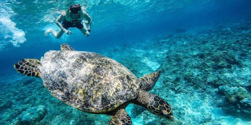 Gili Islands: Underwater Statues Cruise and Snorkeling - The Crowds and Realistic Expectations