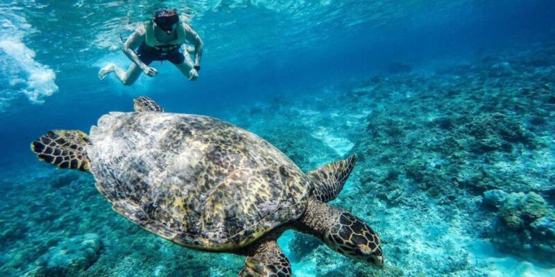 Gili Islands: Underwater Statues Cruise and Snorkeling - Authentic Travelers’ Insights