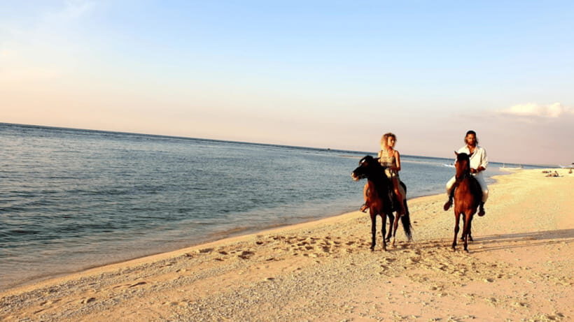 Gili Meno: 1-Hour Beginner Horse Riding Experience - Why This Tour Is Worth Considering