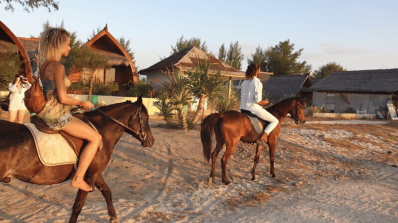 Gili Meno: 1-Hour Horse Riding Adventure - Key Points